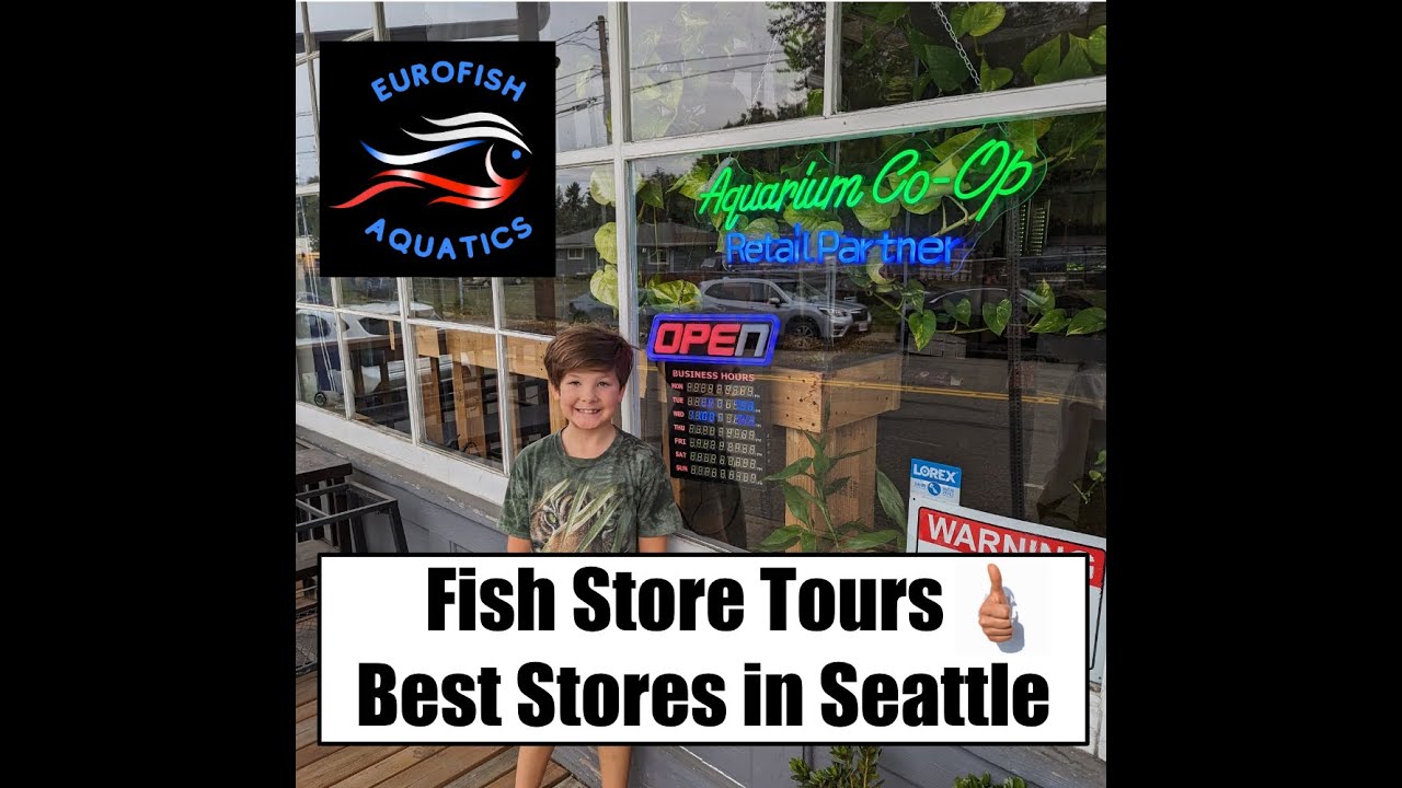 Seattle Fish Store Tours - Eurofish Aquatics - YouTube