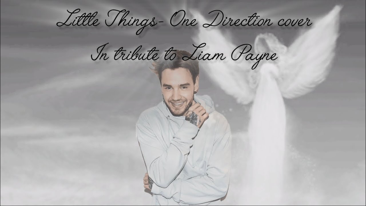 Little Things- One Direction Cover Tribute to Liam Payne - YouTube