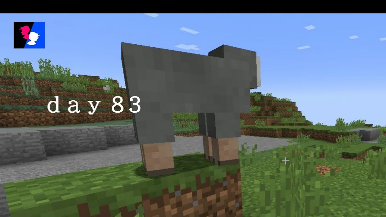 【Minecraft JavaEdition day83】 マイクラでBGM無しの無言サバイバル実況を始めてみました 83日目（仮） - YouTube