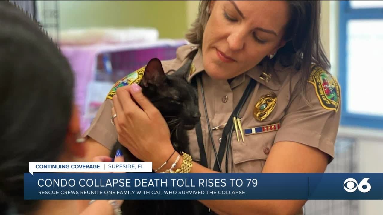 Cat survives Surfside condo collapse; death toll rises to 79 - YouTube