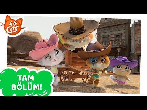 44 Kedi | TAM BÖLÜM | Bir Avuç Kedi Maması | Sezon 2 Bölüm 20