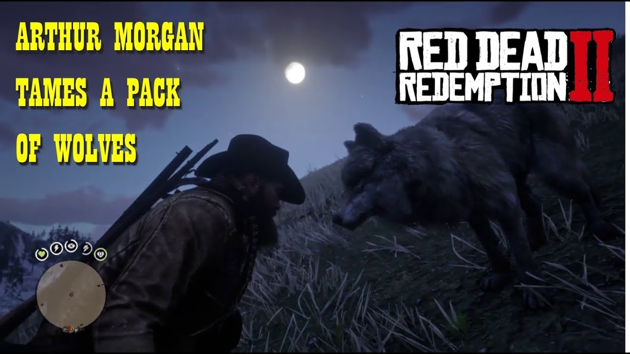 Red Dead Redemption 2 Arthur Morgan Tames a Pack of Wolves - YouTube