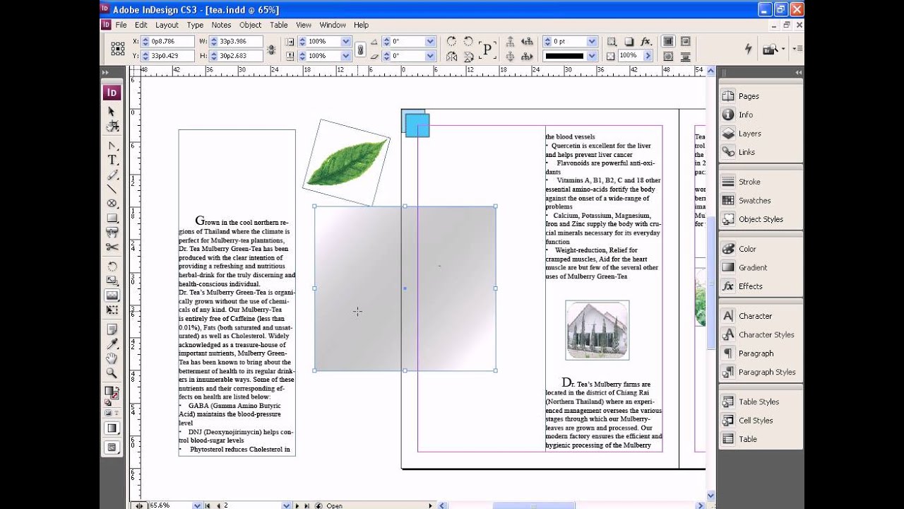 ง30225 01 เครื่องมือ VDO InDesign.AVI - YouTube