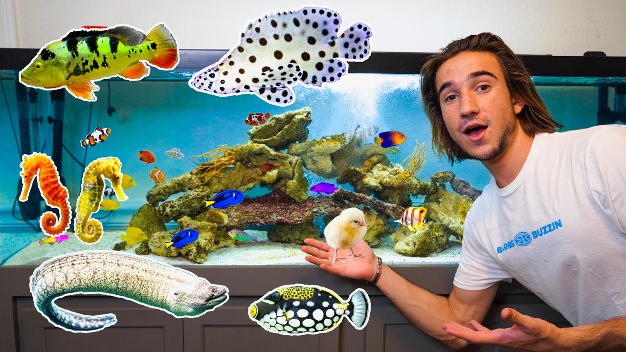 ALL MY PETS IN ONE VIDEO! *Official Update* - YouTube