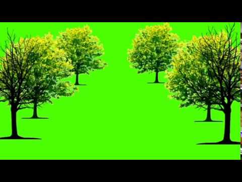 Green screen background tree effects video - YouTube