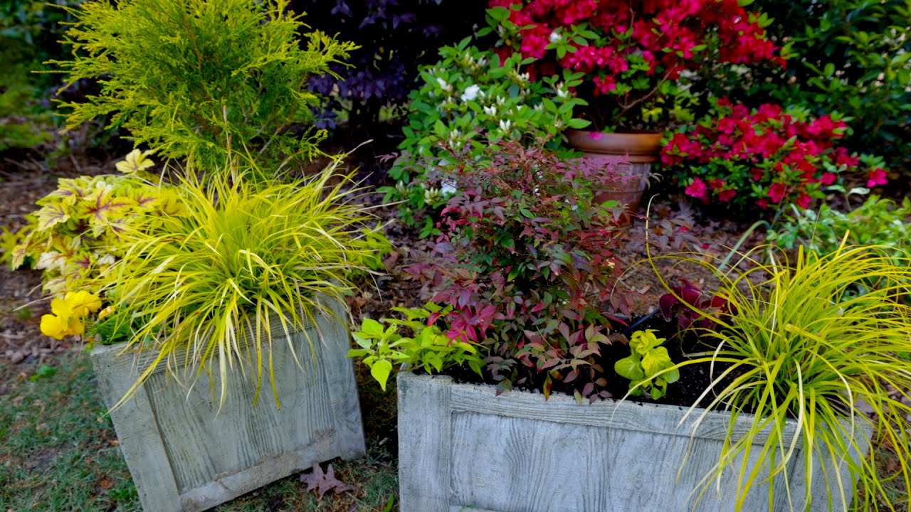 Creative Spring Containers - YouTube