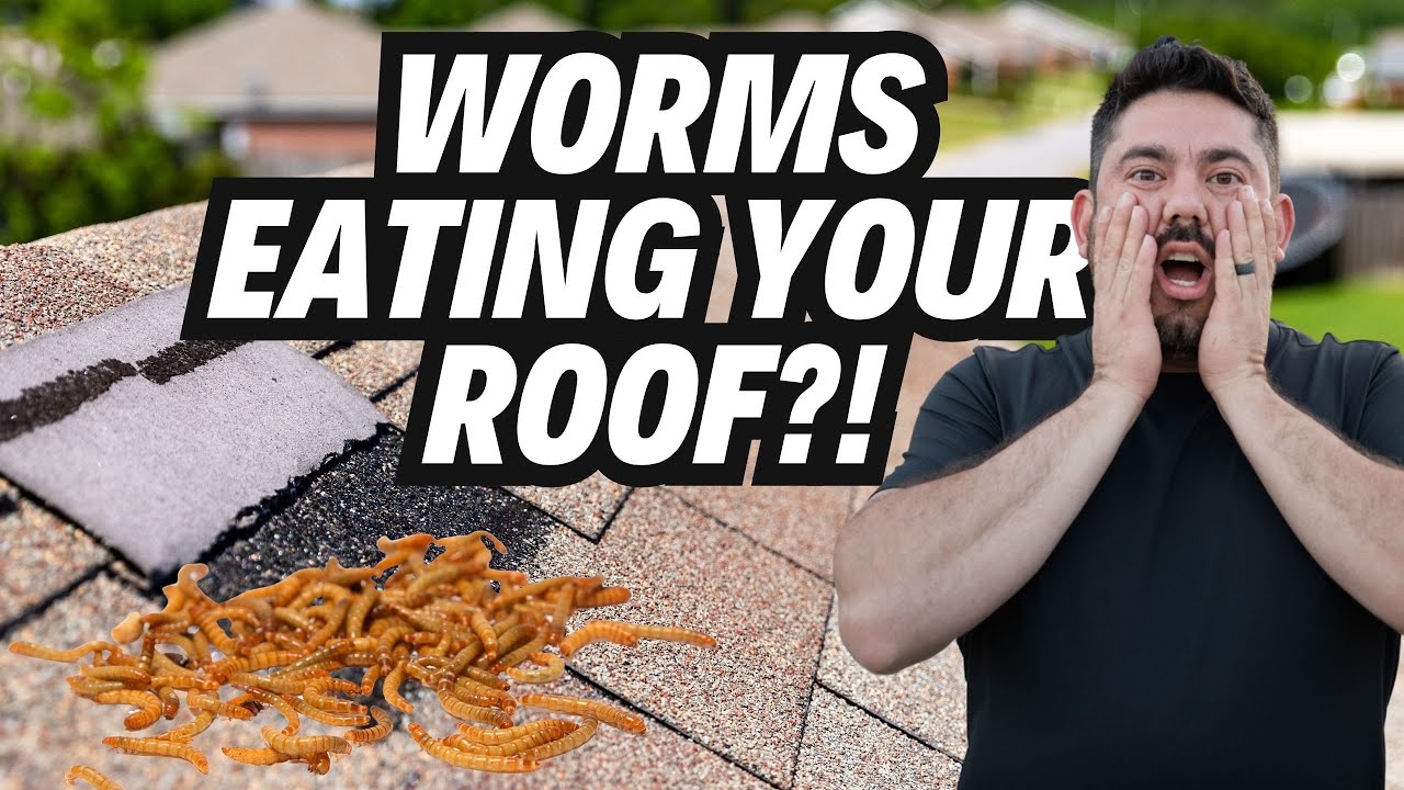 WORMS Roof Scam, GAF Solar Shingle Plant Open, Thieves Steal $290K in ...