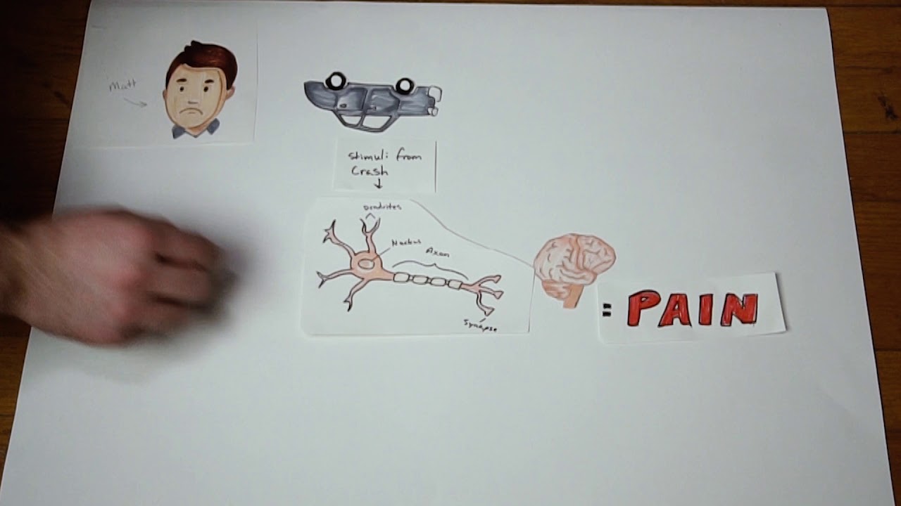 Bio 101 Project - YouTube