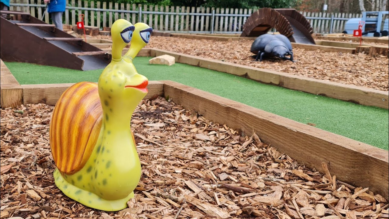 Lightwater Adventure Golf, Animal & Natural Woodland inspired Crazy ...