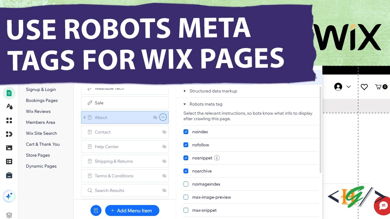 How to Use Robots Meta Tag for Wix Website - YouTube