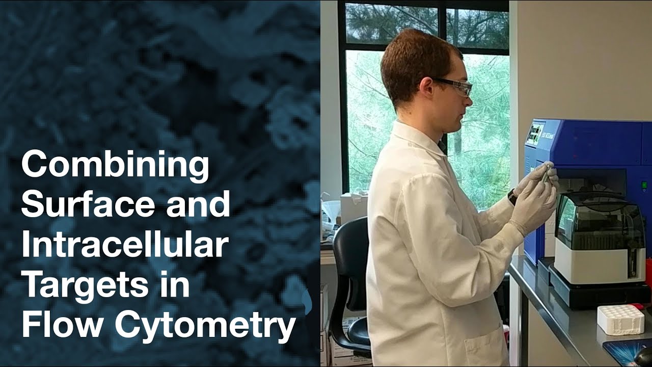 How to Combine Surface & Intracellular Targets in Flow Cytometry | CST ...