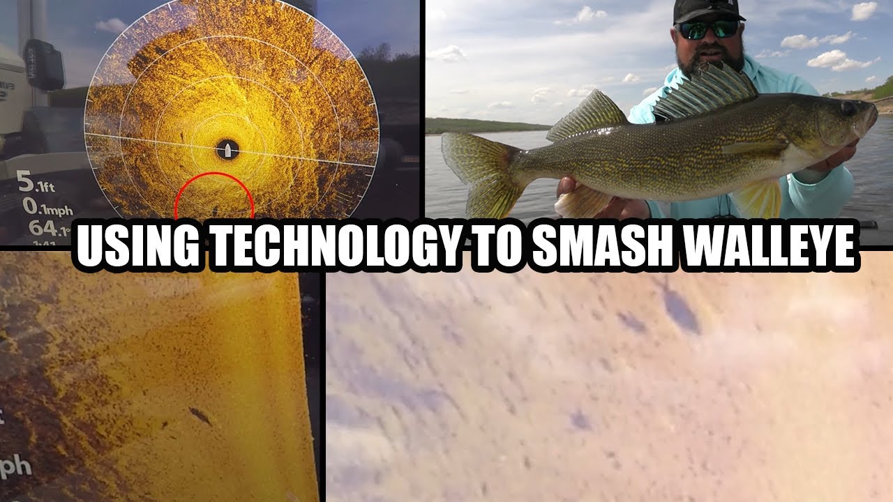 Smashing Walleye | Mega 360 and Mega Side Imaging! - YouTube