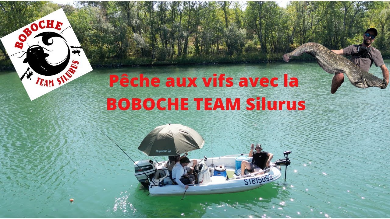 Pêche du SILURE aux VIFS avec la BOBOCHE TEAM Silures - YouTube