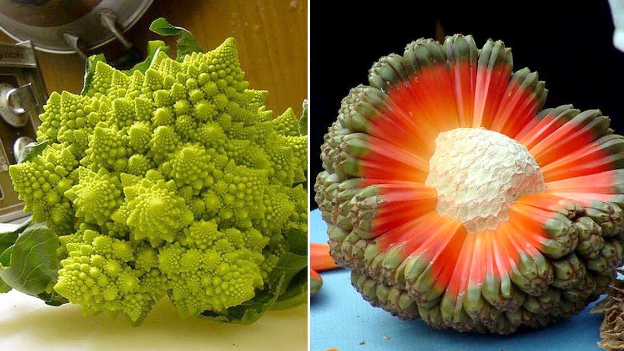 এমন সবজি আপনি কখনো আগে দেখেননি | Top 5 Uncommon And Rare Vegetable In ...