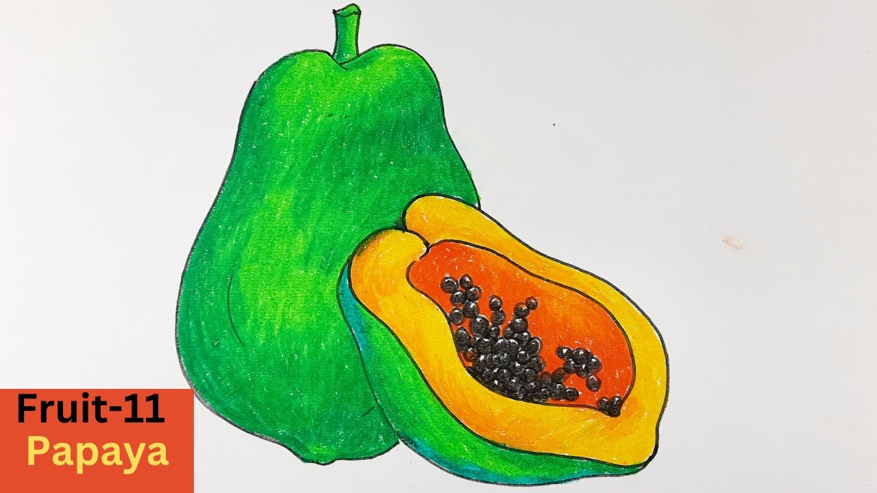 Papaya/How to draw papaya/ new Fruit drawing/ easy papaya drawing ...