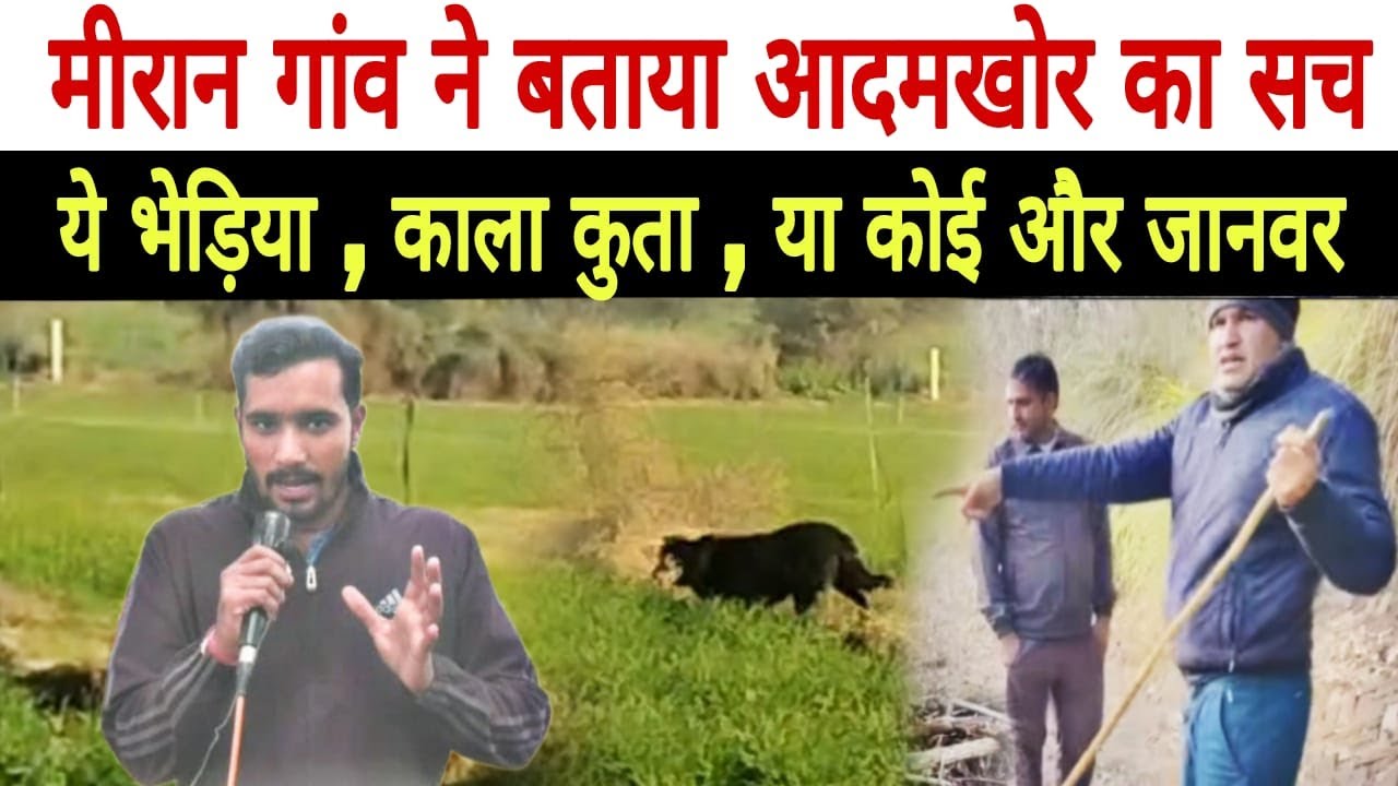 मिरान गांव ने बताया आदमखोर का सच देखिए पूरी वीडियो Miran bhiwani news ...