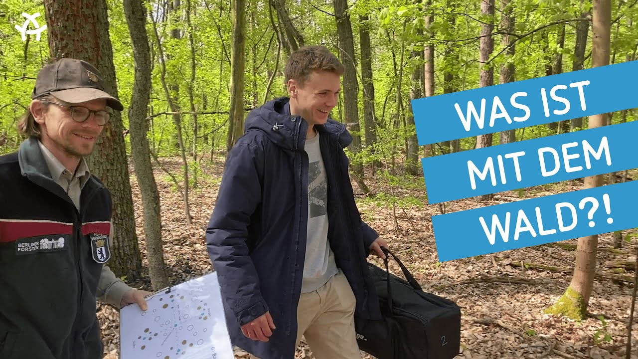 Was ist mit dem Wald?! | ALEX Feature - YouTube