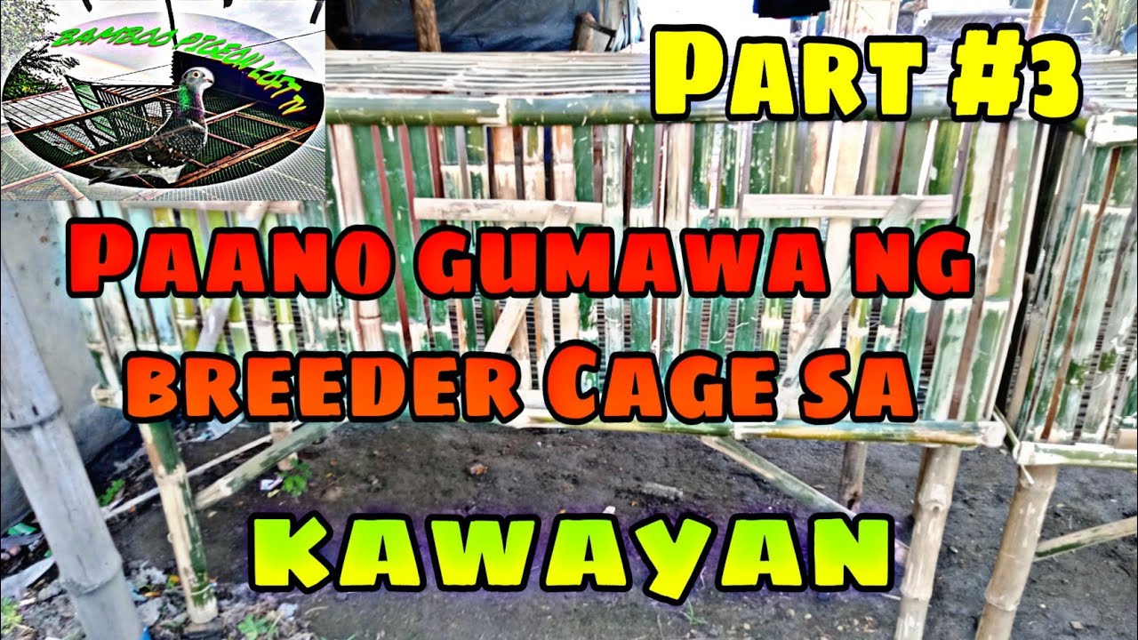 Paano gumawa ng breeder Cage ng kalapati Gamit ang kawayan. How to Make ...