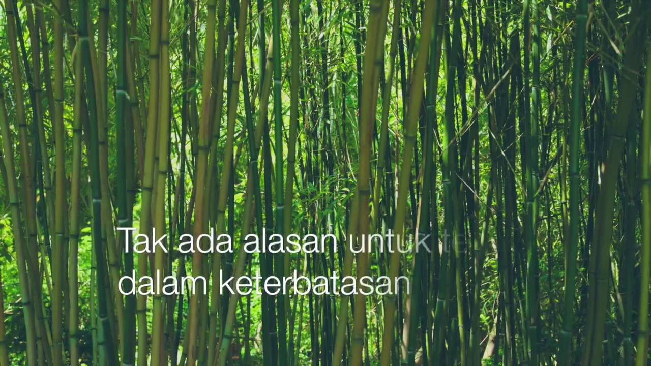 Filosofi Pohon Bambu - YouTube