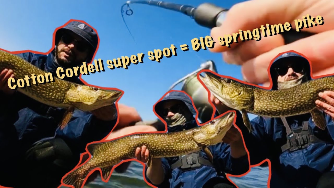Fishing for springtime Northern Pike from the shoreline ! - YouTube