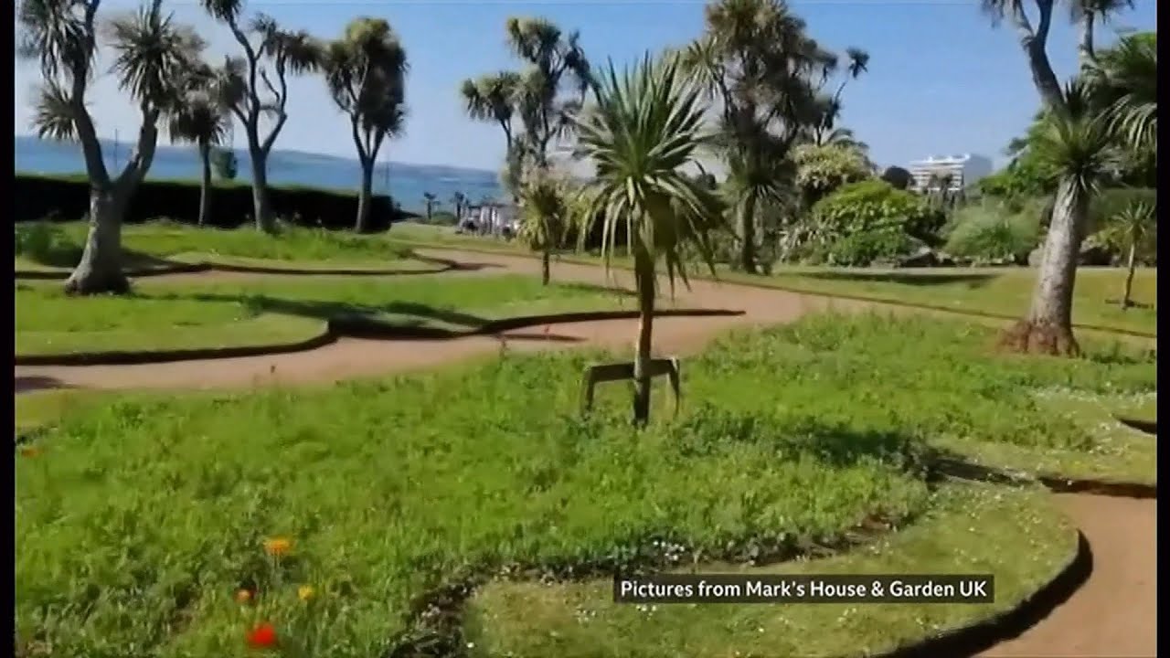 Felling of Torquay’s famous palm trees ‘pure vandalism’, say residents ...