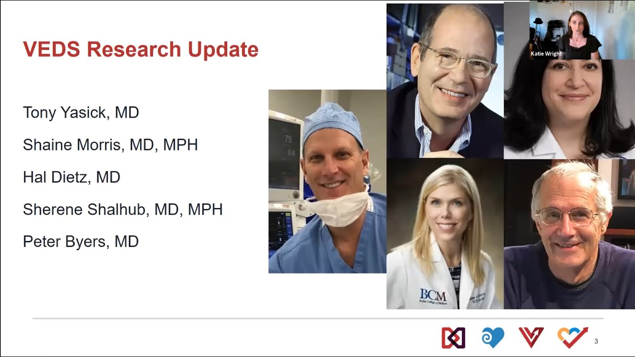VEDS Research Update - YouTube