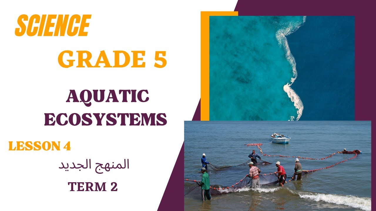 Science Grade 5 - التيرم الثانى - Lesson 4 - Aquatic Ecosystem - YouTube