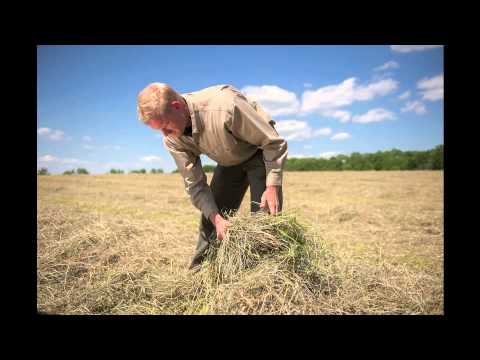 Eric Spates - YouTube