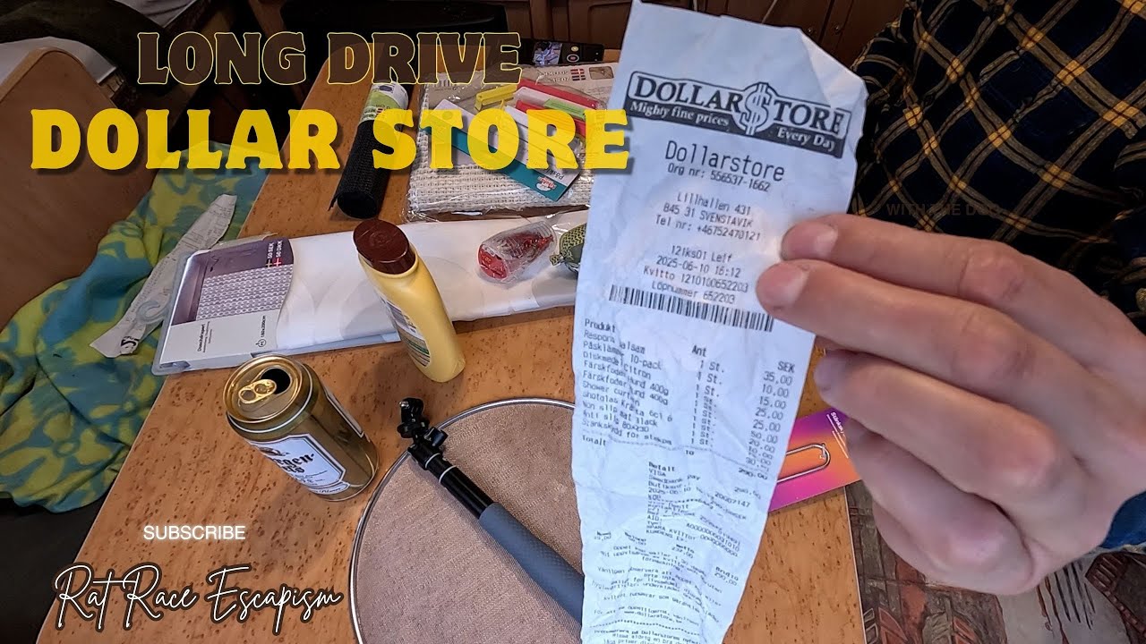 🇸🇪 Sweden Road Trip Day! 🚐 Long Drive, Dollar Store Finds & Caravan ...