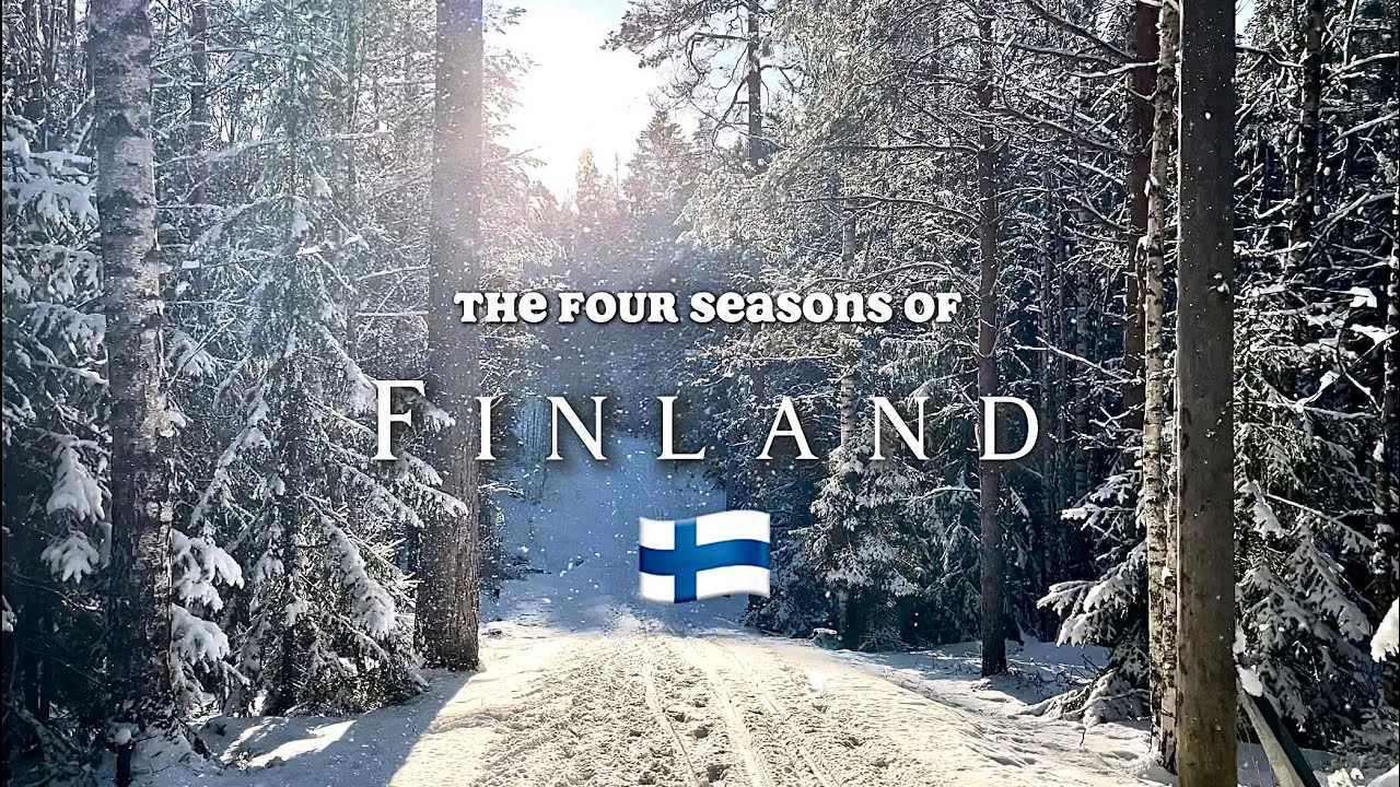 Four Seasons Of Finland 🇫🇮: Nature’s evolution through the year - YouTube