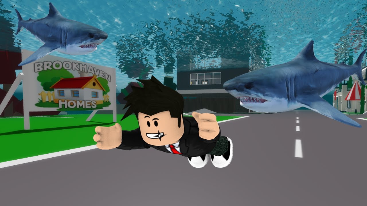 SOBREVIVI NA CIDADE AQUÁTICA DO BROOKHAVEN RP (Roblox) - YouTube