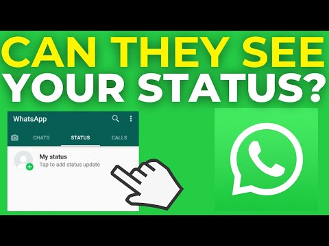 Can Someone Who Didn't Save My Number See My WhatsApp status
