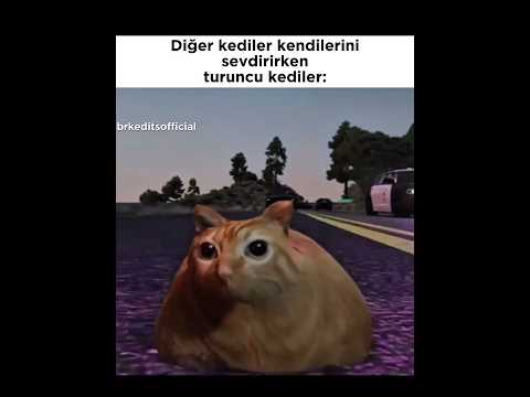 Kaçma gel buraya #keşfet #kesfetteyiz