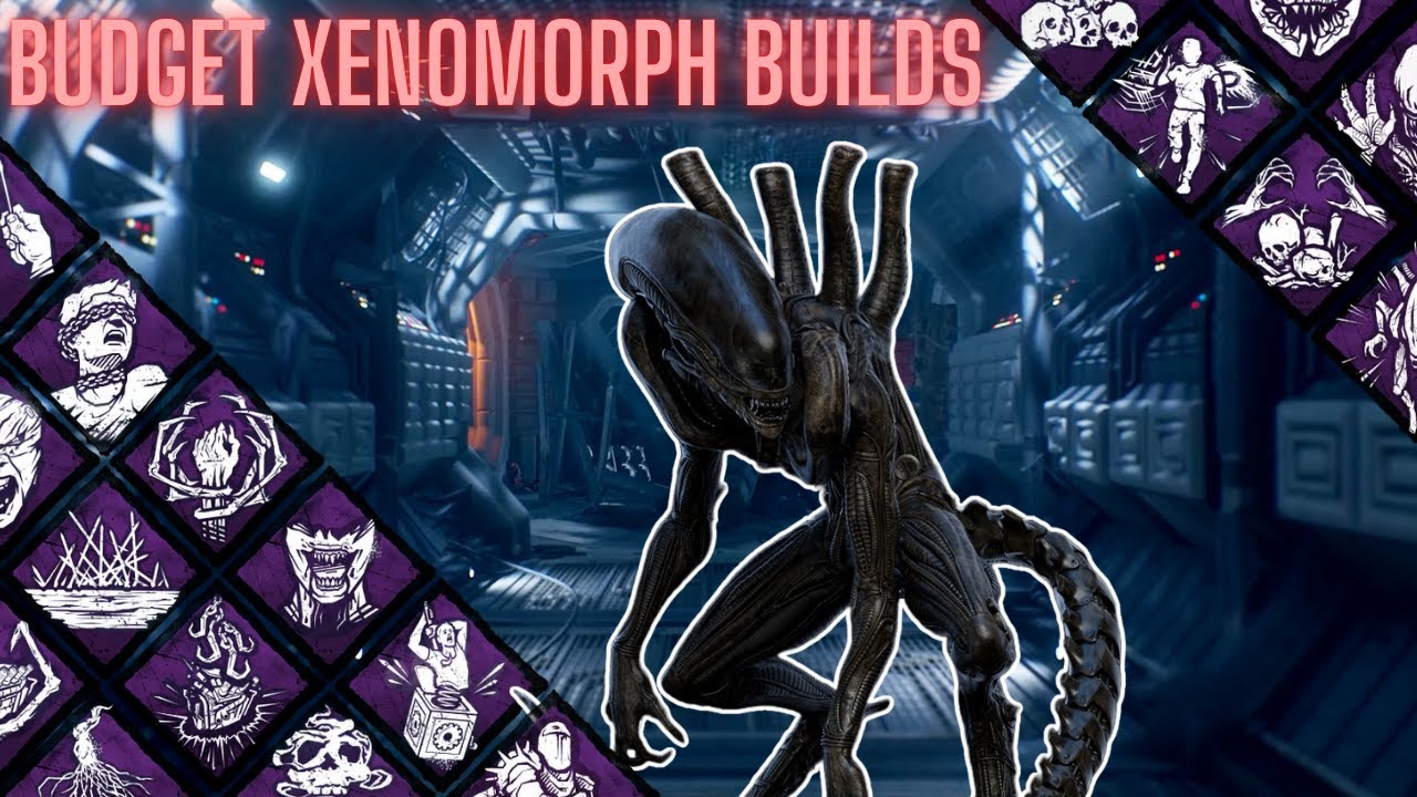The Budget Guide to Xenomorph in DBD - YouTube