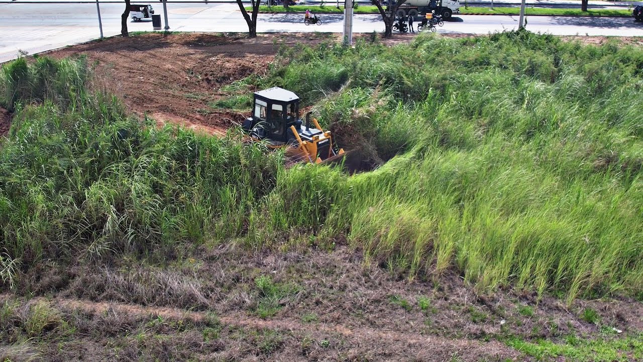 Powerful SHANTUI Bulldozer Cutting Grass And Dirt To Clear a Land - YouTube