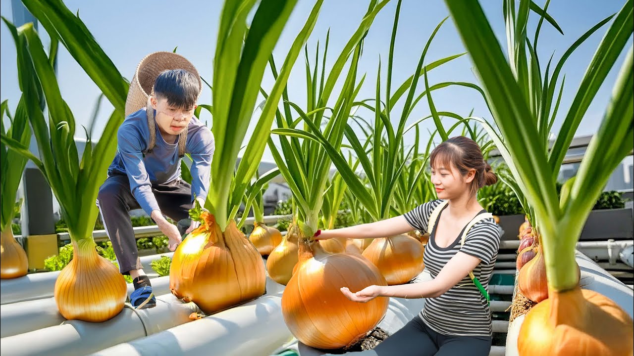 Farmer Harvesting Giant Mutant Onions to sell - Explore The World with ...