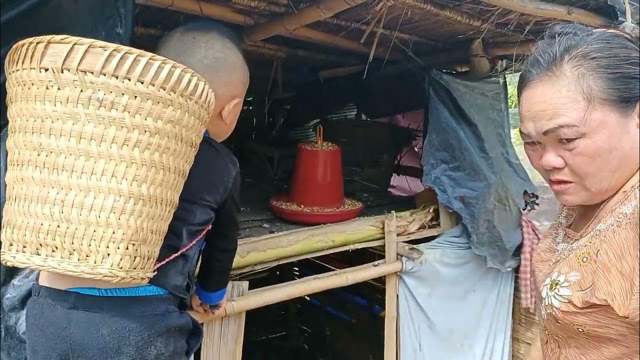 coj nej los saib niam qaib dib cov xiav nqaij nawb - YouTube