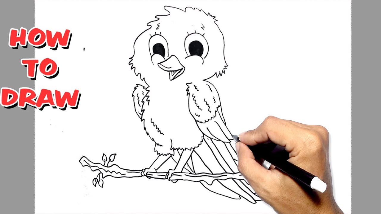 How to Draw Baby Bird - YouTube
