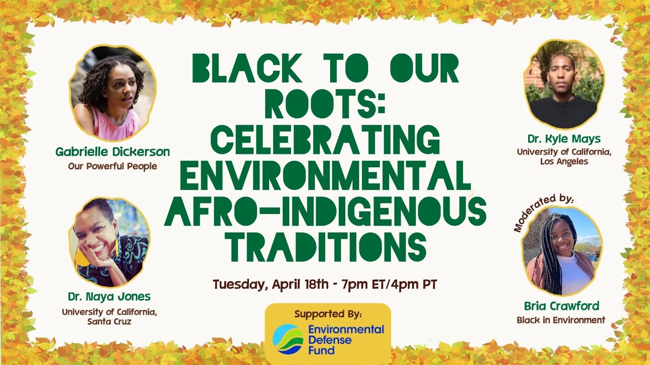 Black to our Roots: Celebrating Environmental Afro-Indigenous ...