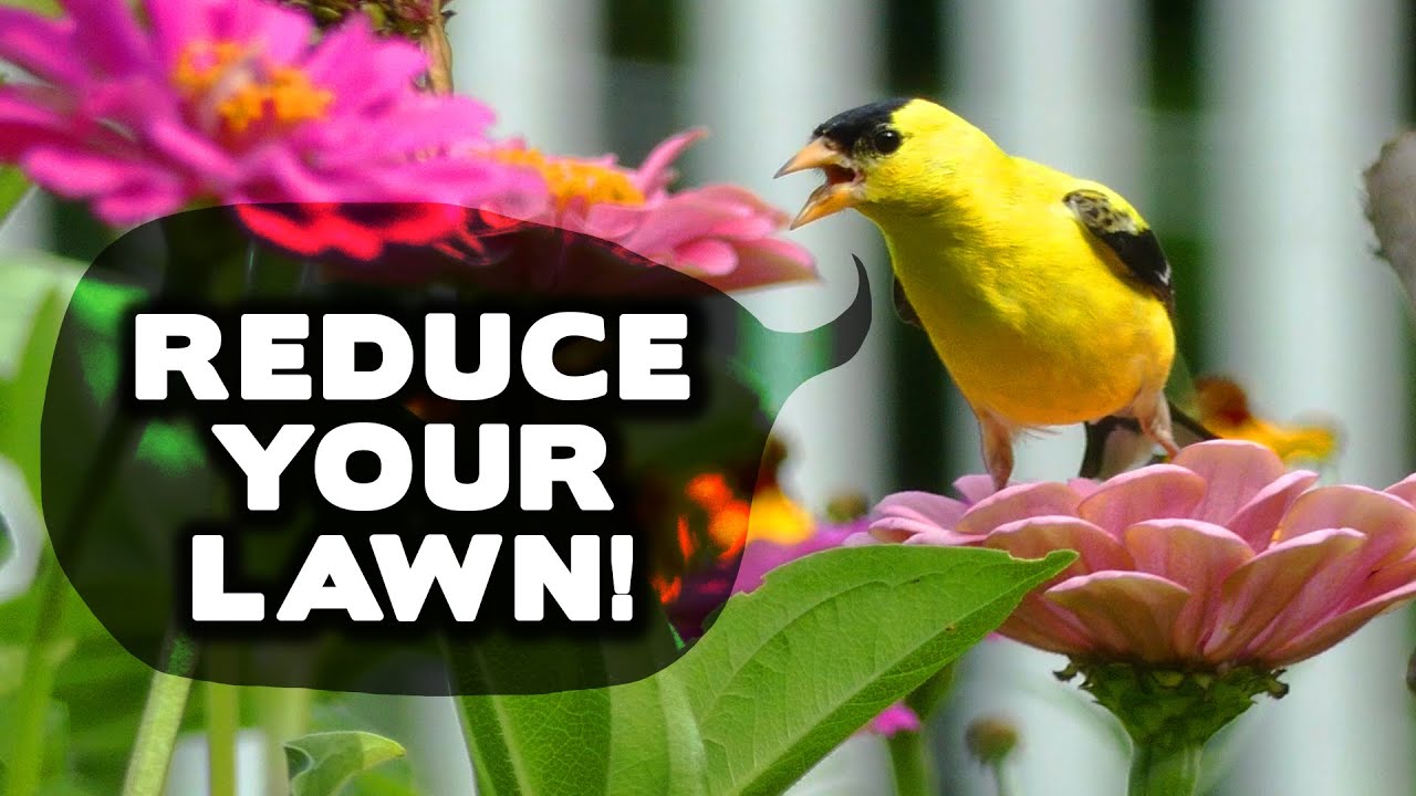 🌹 Reduce Your Lawn! Tips and Tricks for Creating New Garden Space 🌹 ...