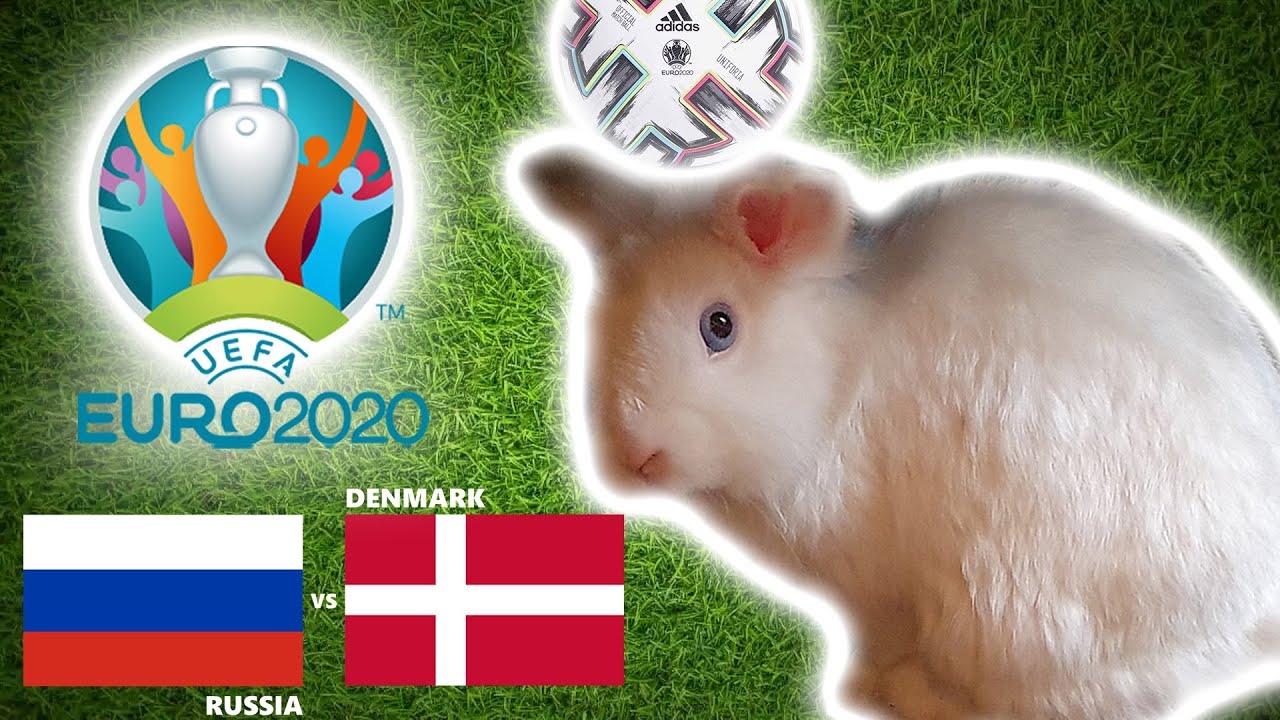 UEFA Euro 2020 | Russia vs Denmark | Bunny Rabbit Football Soccer Score ...