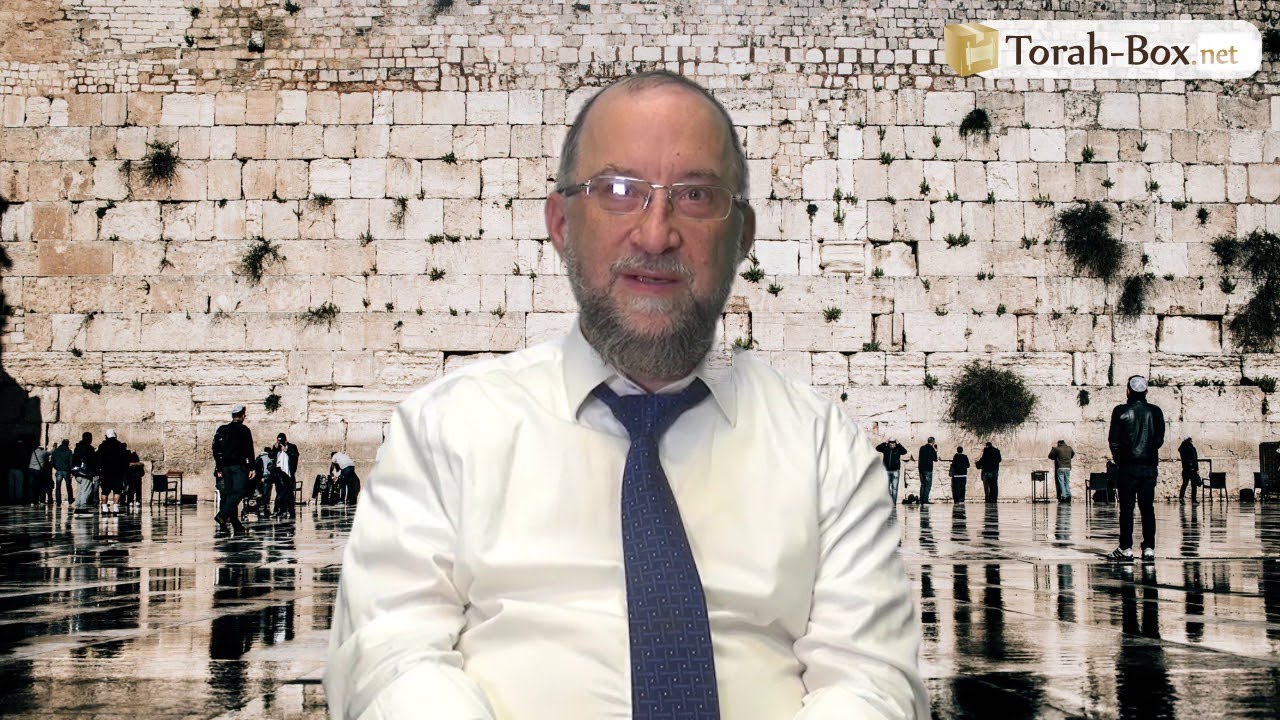 The Miraculous Steering Wheel - A Story About R' Moshe Feinstein ...