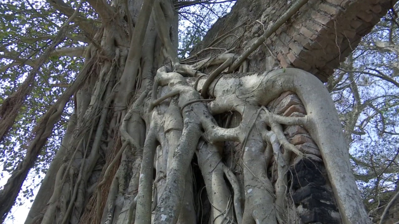 Recorrido por La Antigua, Veracruz - YouTube