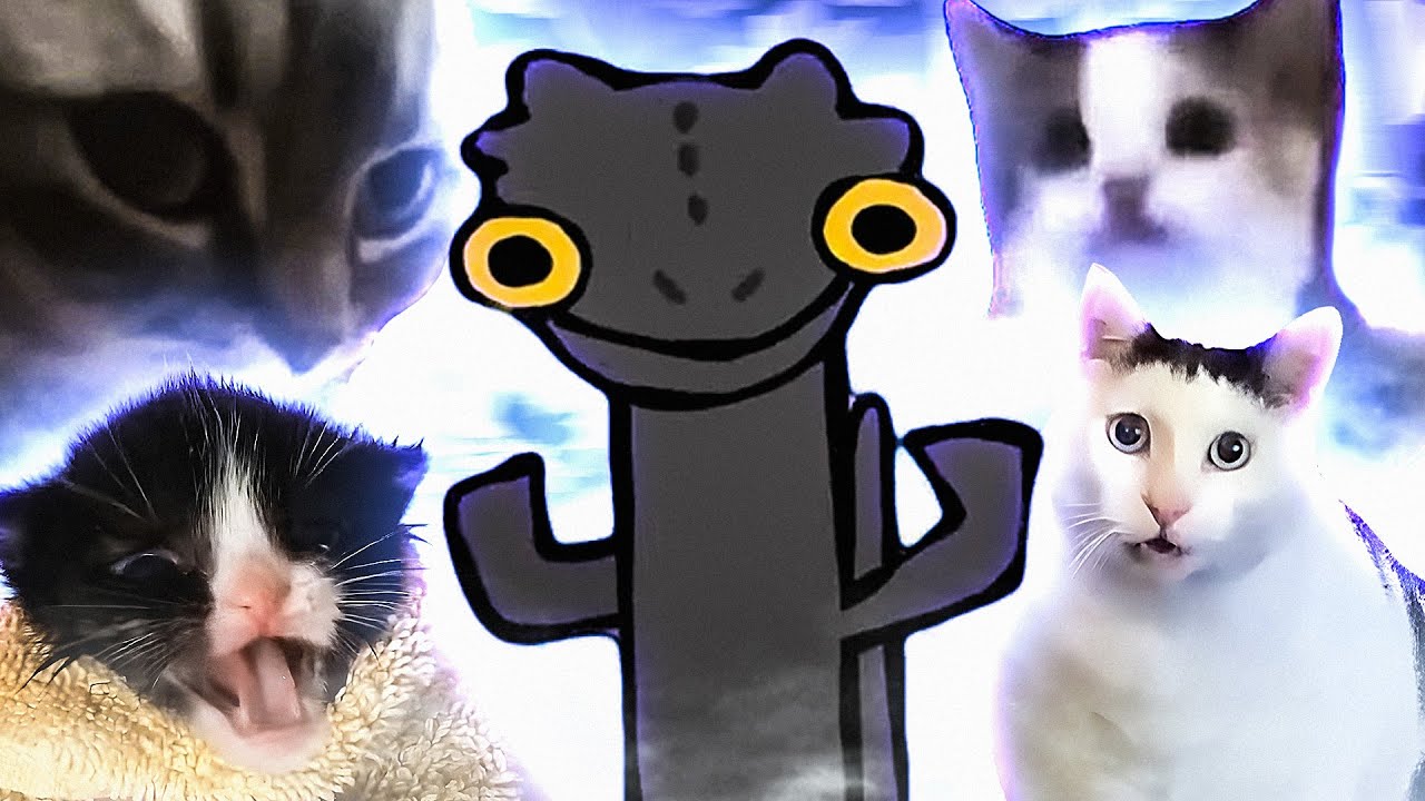 Toothless Dancing but Meme Cats Sing It - YouTube