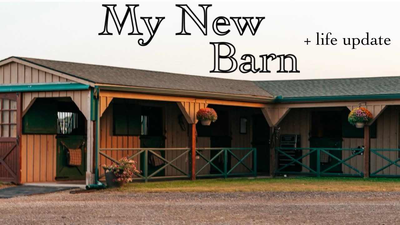 My New Barn (+ life update) - YouTube