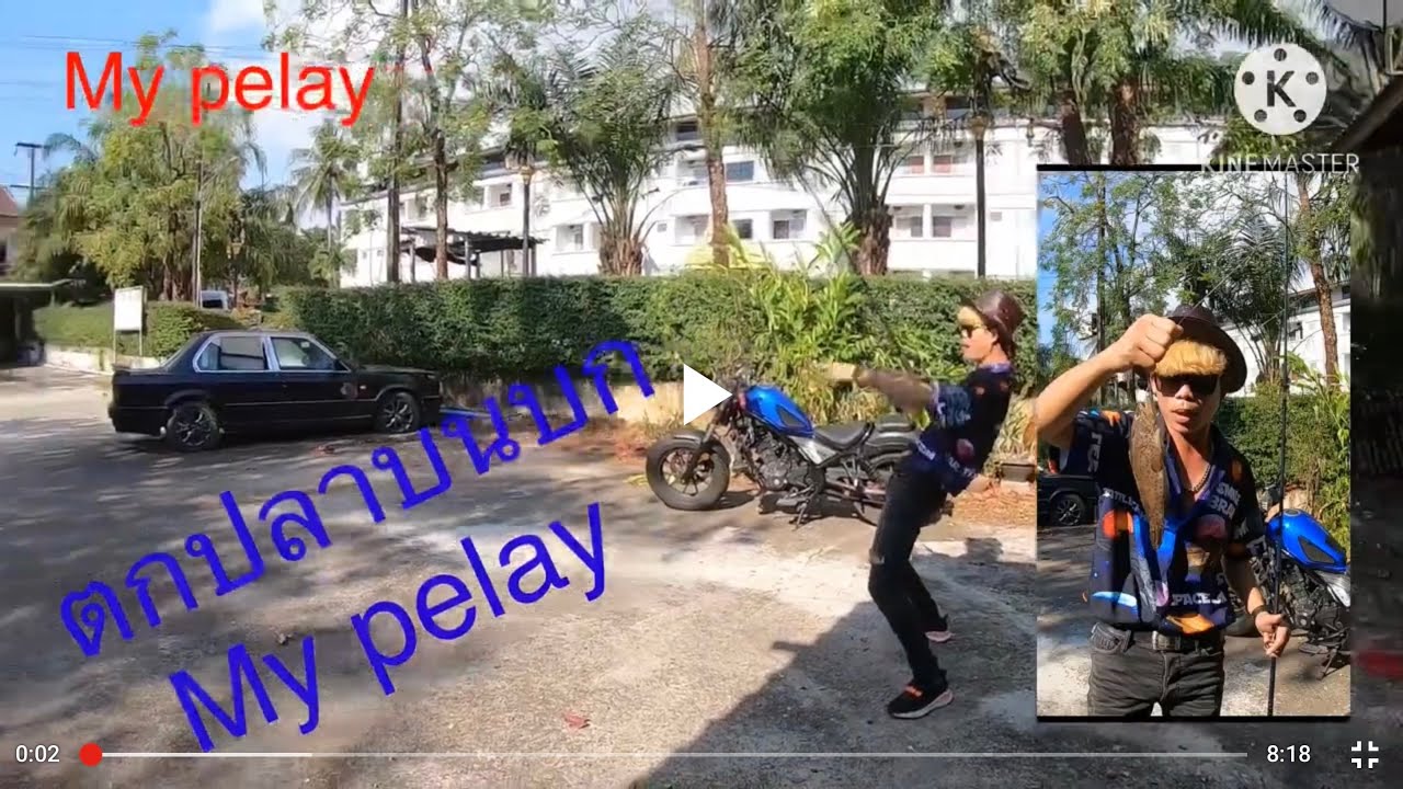ตามล่าปลาซิวอยู่แอฟริกาใต้ my pelay #My pelay - YouTube