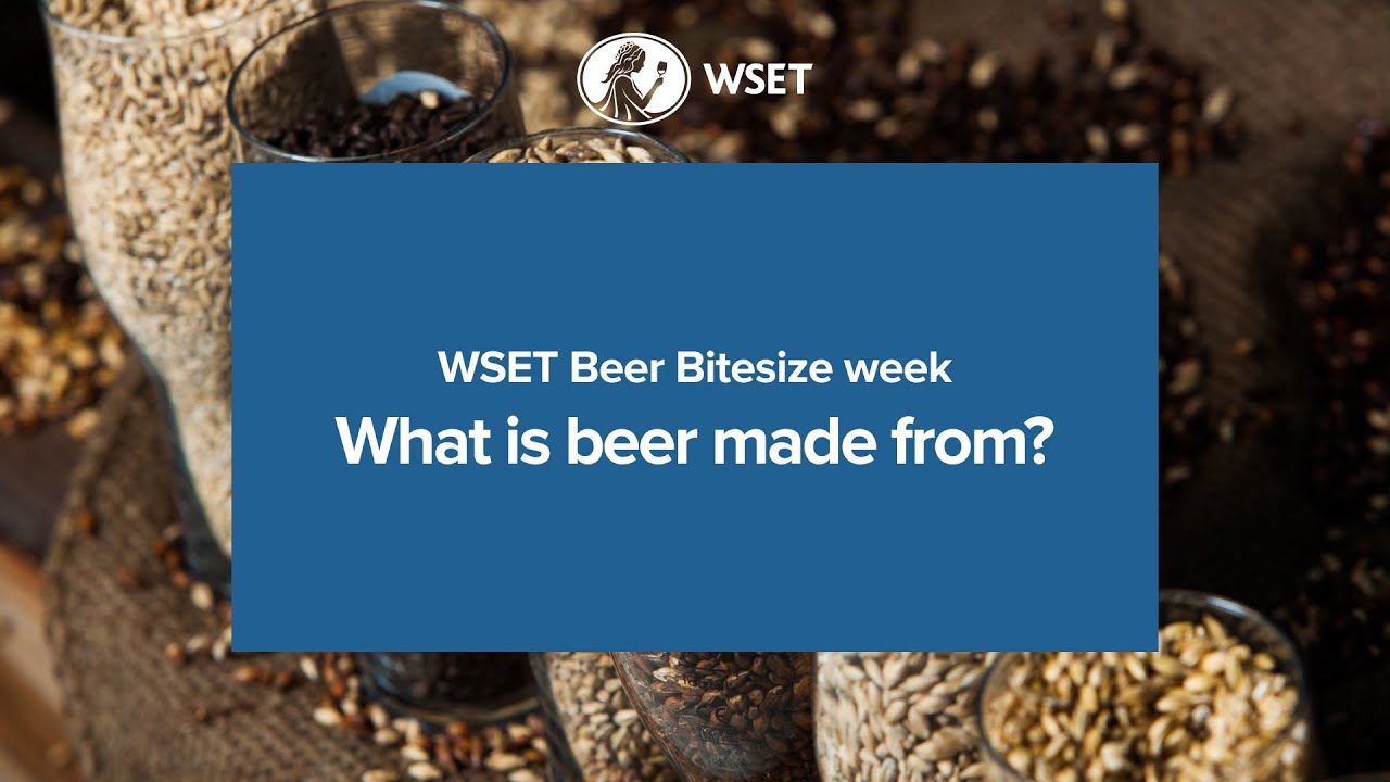 WSET Beer Bitesize Week - What is beer made from? - YouTube