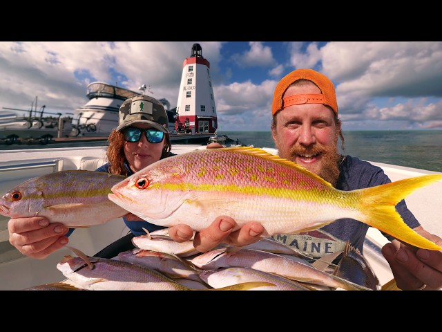Yellowtail Snapper On The Reef In The Florida Keys Catch