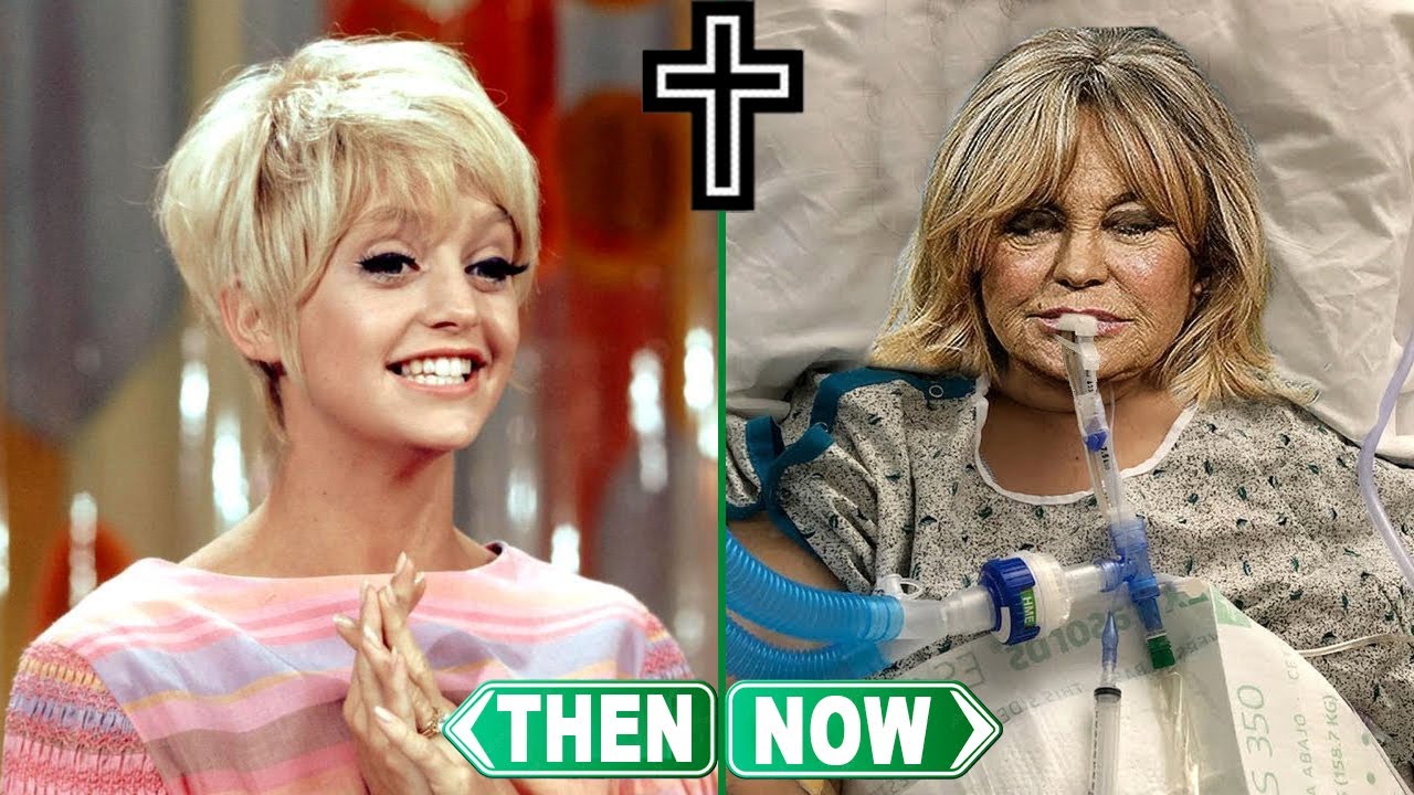 ROWAN & MARTIN'S LAUGH (1967): The Cast Then and Now | Their Eventful ...