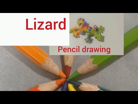 1 minute time-lapse, lizard pencil drawing - YouTube